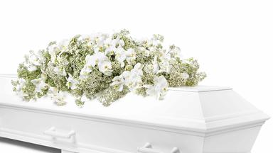 Begravningsblommor – Välj blommor till begravningen – Fonus