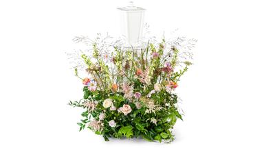 Begravningsblommor – Välj blommor till begravningen – Fonus